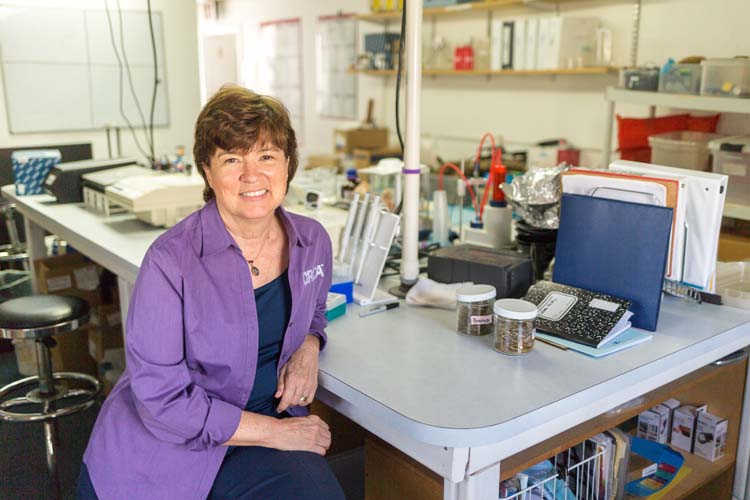 ORCA’s Edie Widder receives prestigious Explorers Club award - Vero News