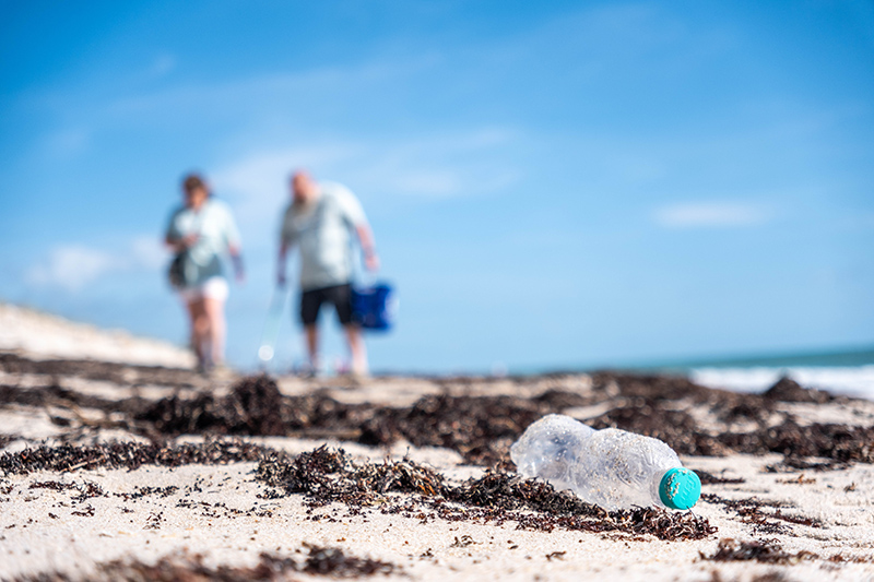 World Ocean Day: Volunteers remove trash from Golden Sands Beach - Vero ...