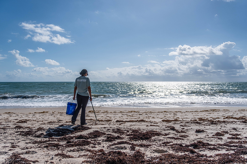 World Ocean Day: Volunteers remove trash from Golden Sands Beach - Vero ...