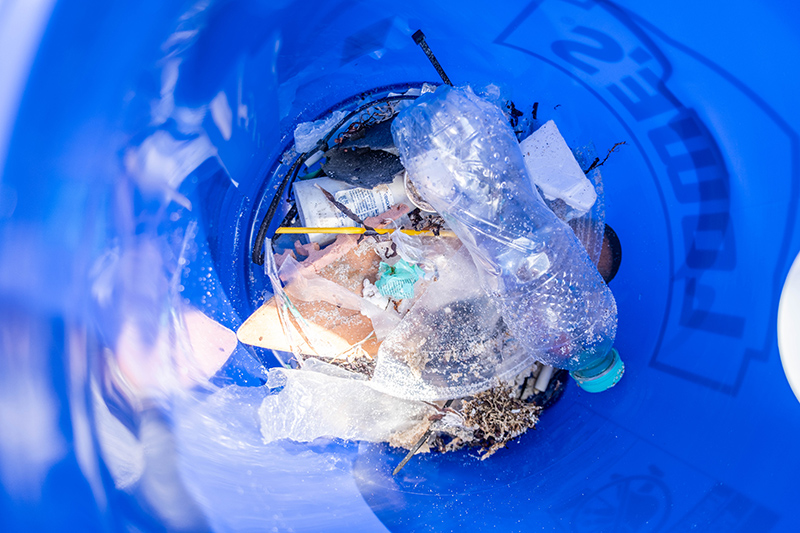 World Ocean Day: Volunteers remove trash from Golden Sands Beach - Vero ...