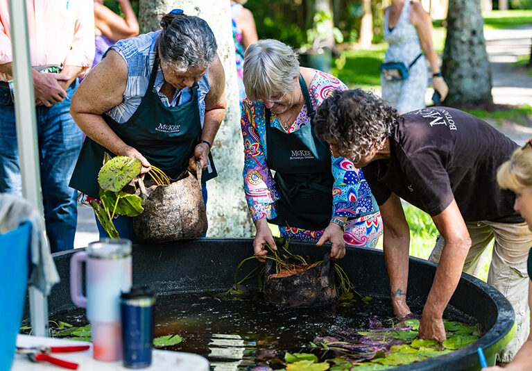 Coming Up! Sights to behold as McKee presents Waterlily Festival - Vero ...